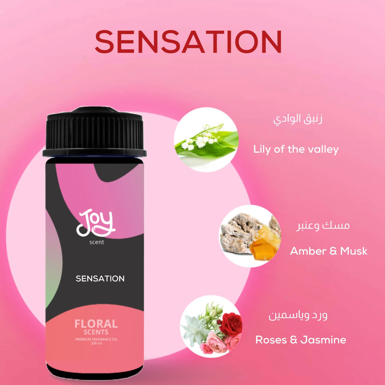 Sensation – JOY QATAR