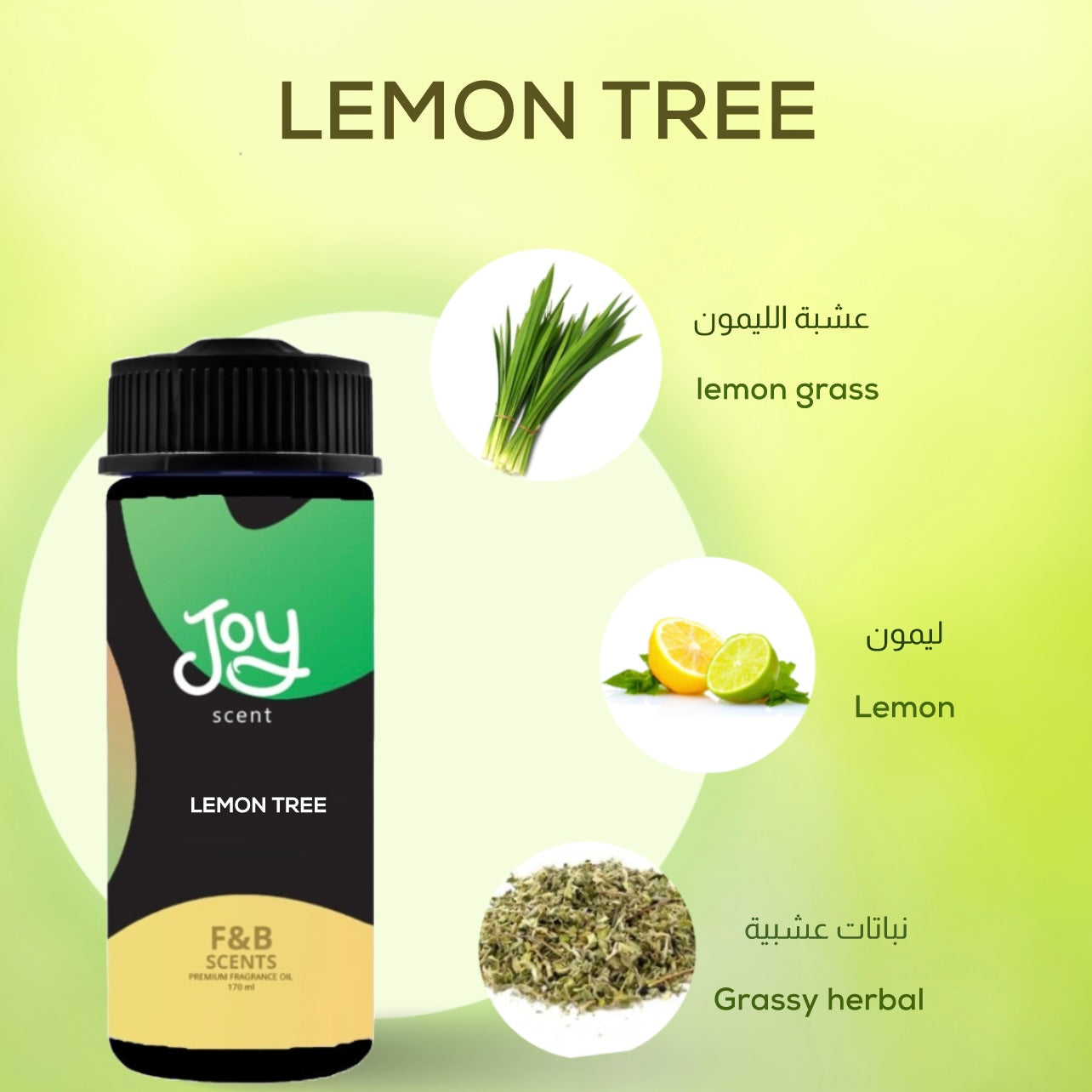 Lemon Tree – JOY QATAR